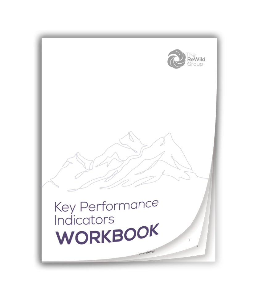 Key Performance Indicators Guidebook — The ReWild Group