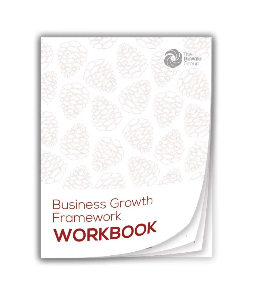 Business Growth Framework Guidebook — The ReWild Group