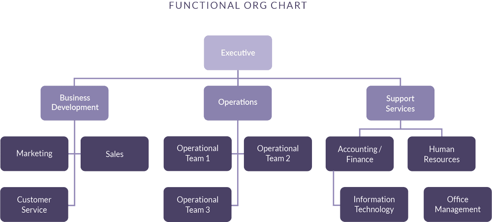 Introducing the Functional Org Chart — The ReWild Group