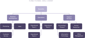 Introducing the Functional Org Chart — The ReWild Group