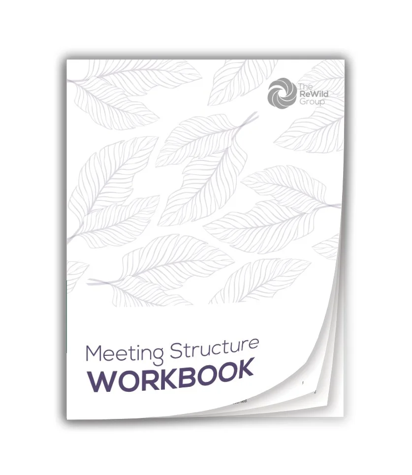 Meeting Structure Workbook — The ReWild Group