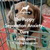 Puppy Crying in the Crate? Gentle Training Tips That Actually Work ...