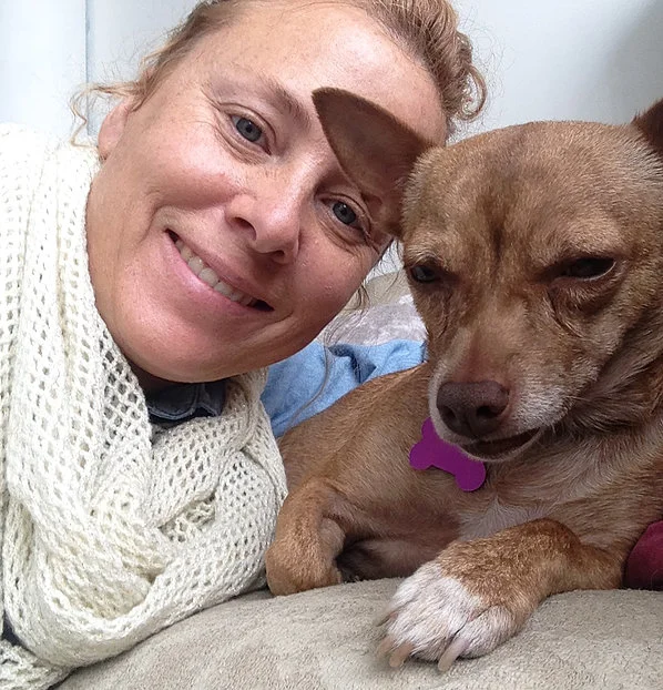 What to Do if Your Dog Bites Someone | Dog Savvy SLC