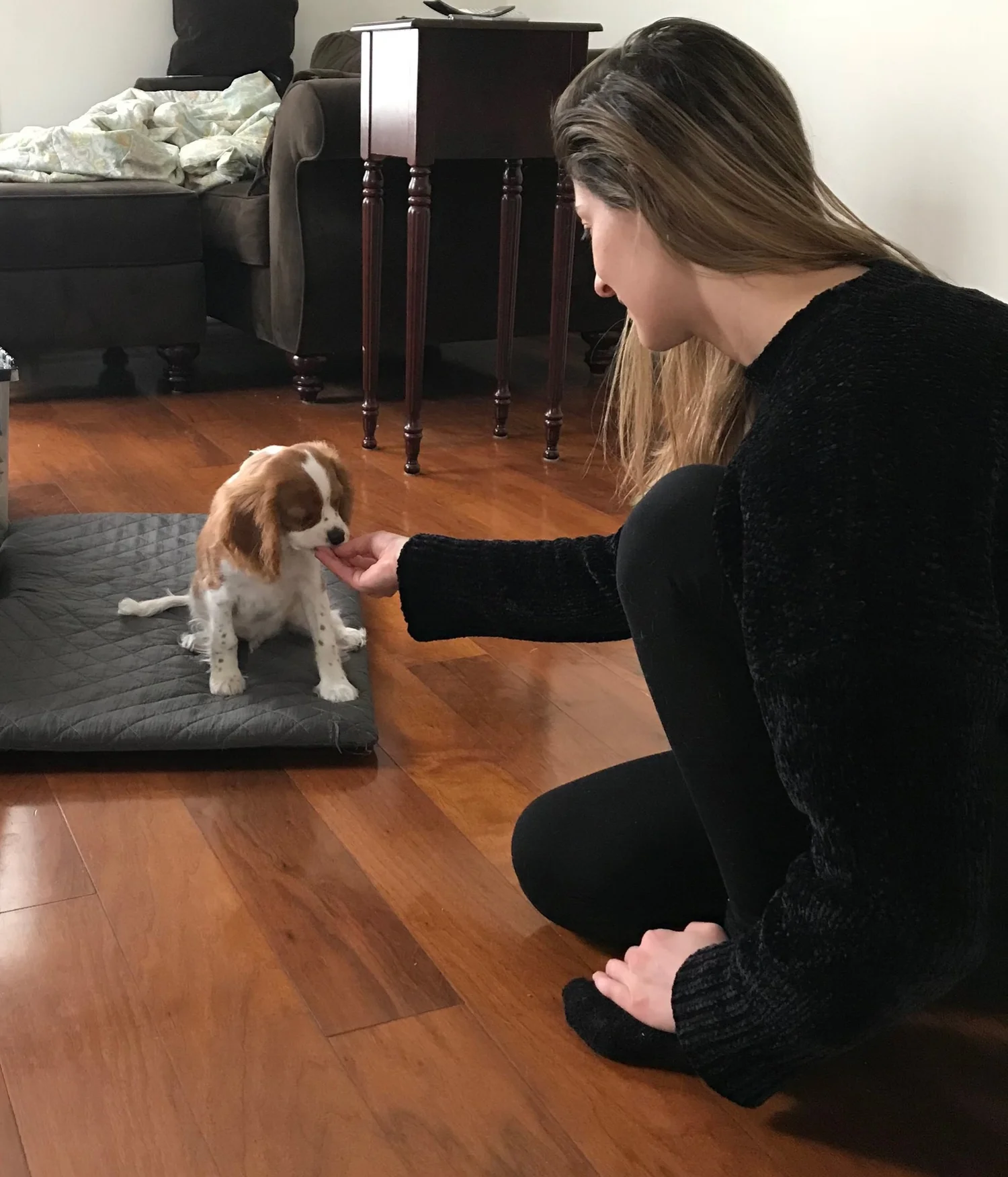 3 Puppy Training Shortcuts You Can Do Everyday | Dog Savvy