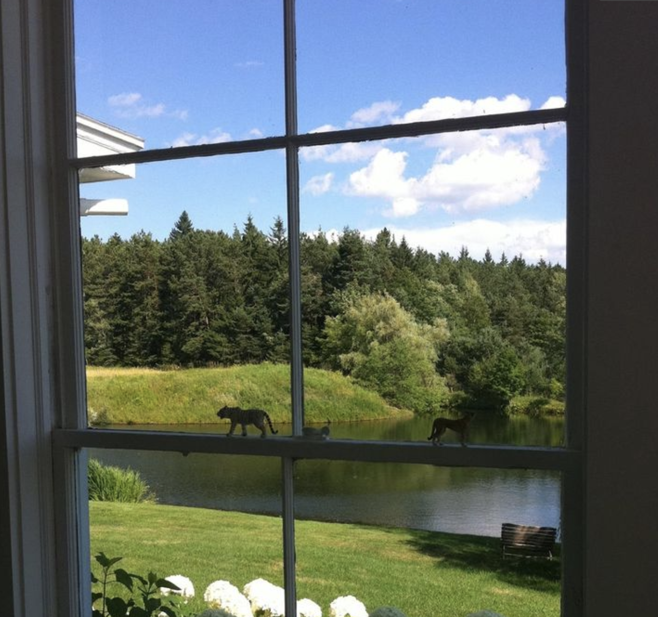 GALLERY — Seven Ponds