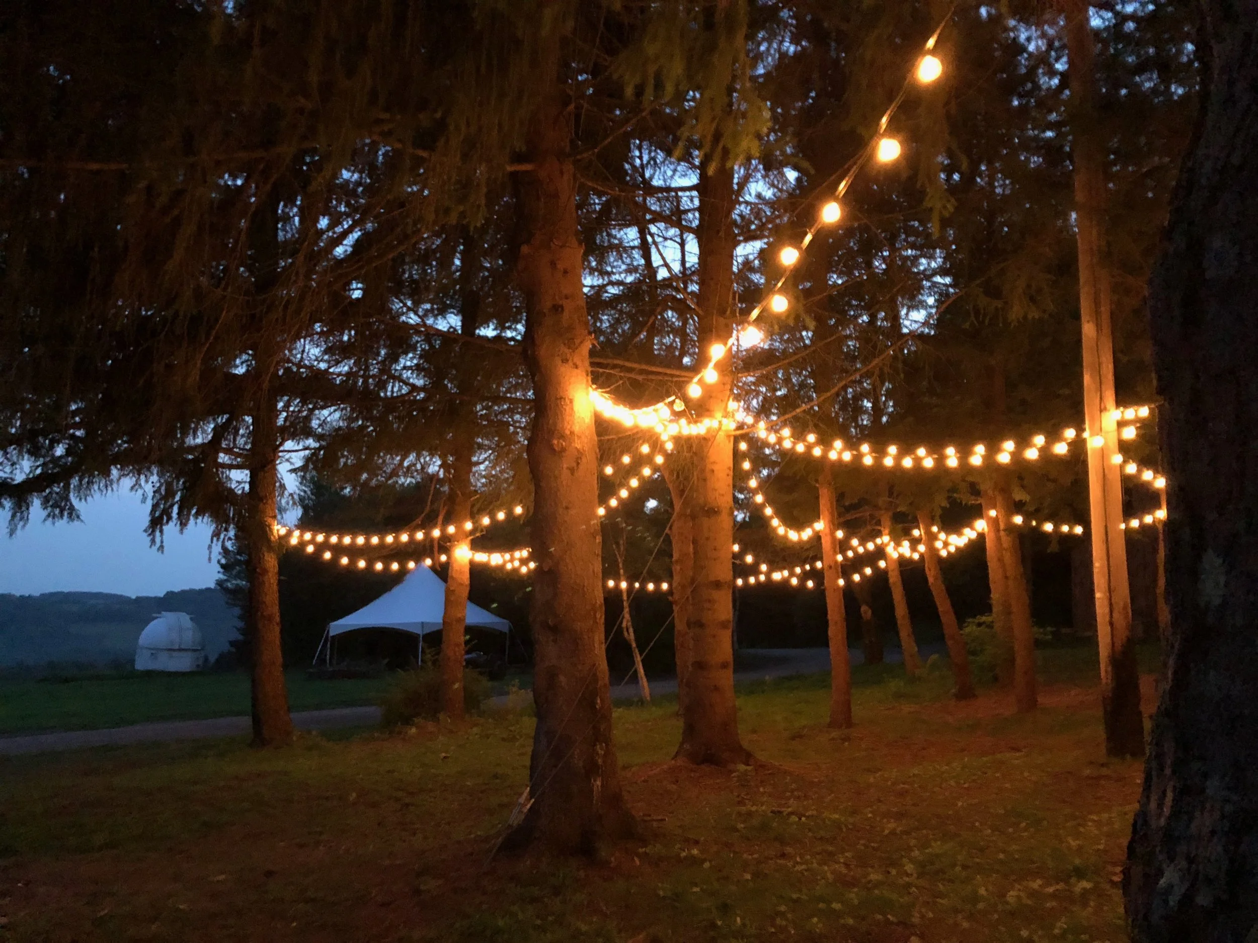 GALLERY — Seven Ponds