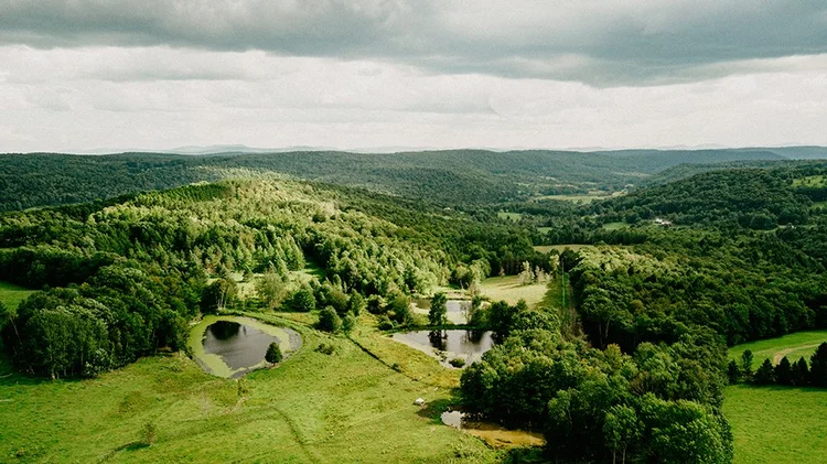 gallery — Seven Ponds