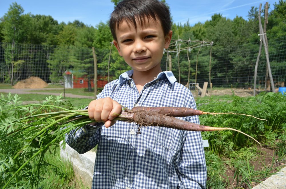 farm — Seven Ponds