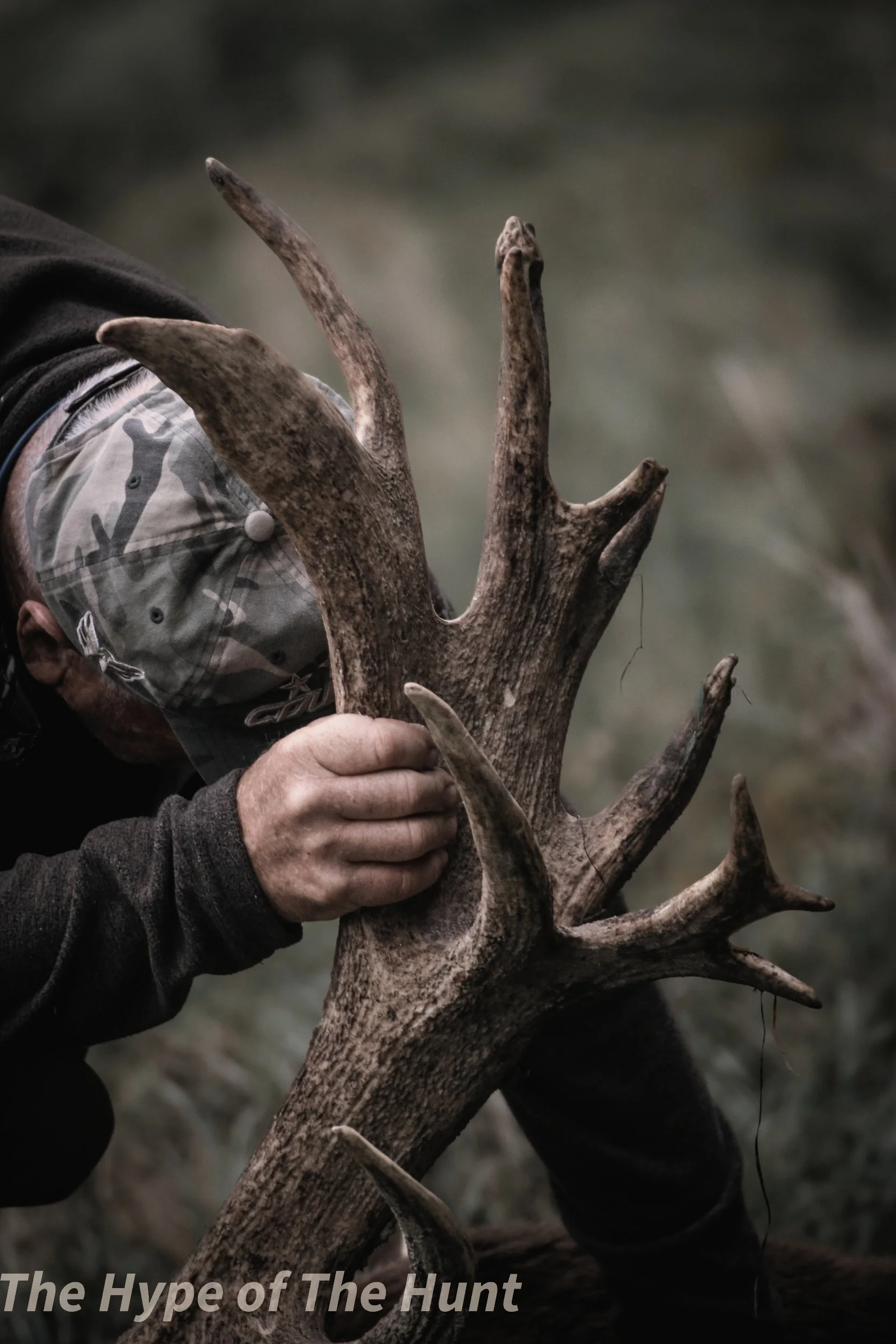 The Hype of The hunt