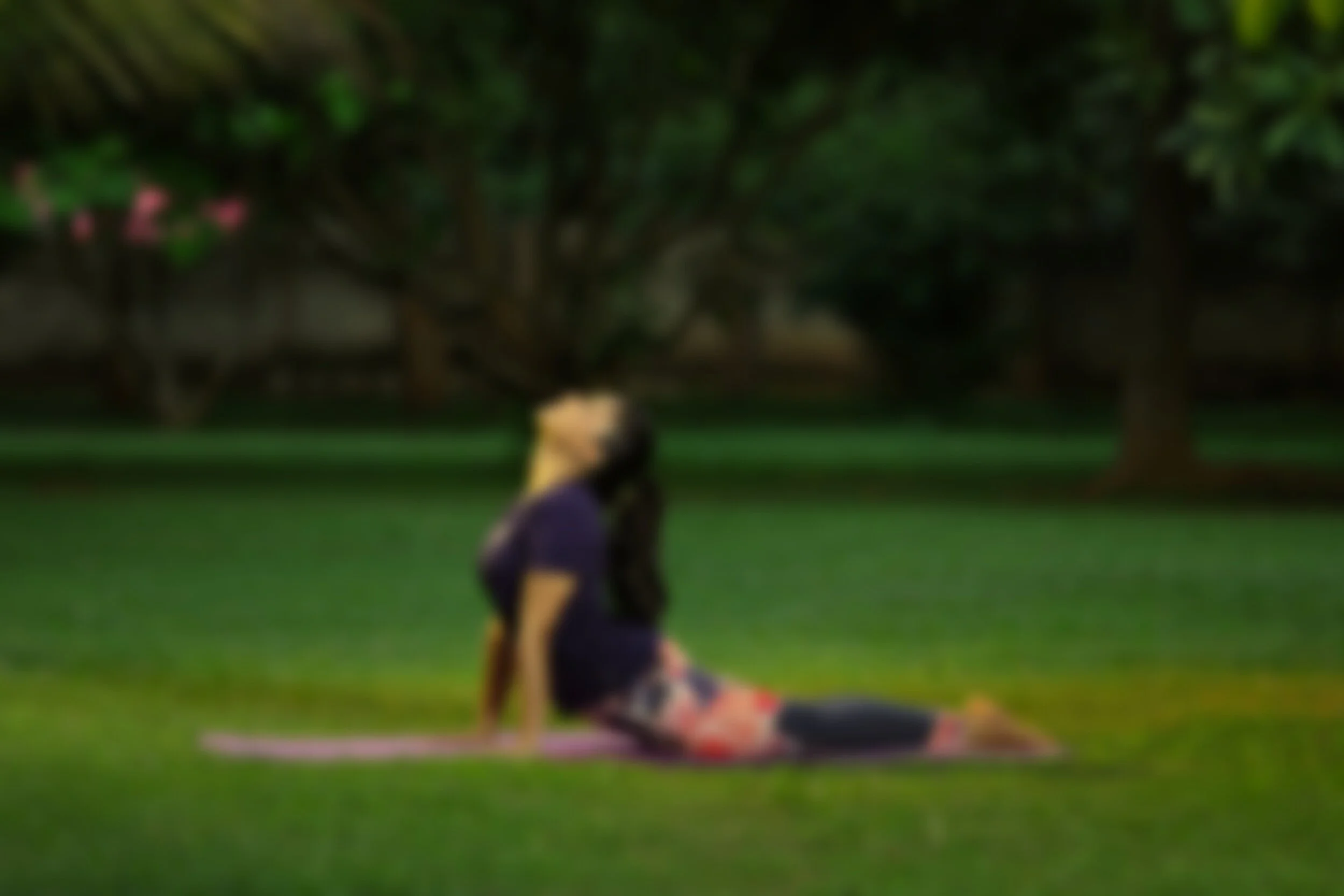 Prayoga Yoga App — Parjanya Creative Solutions