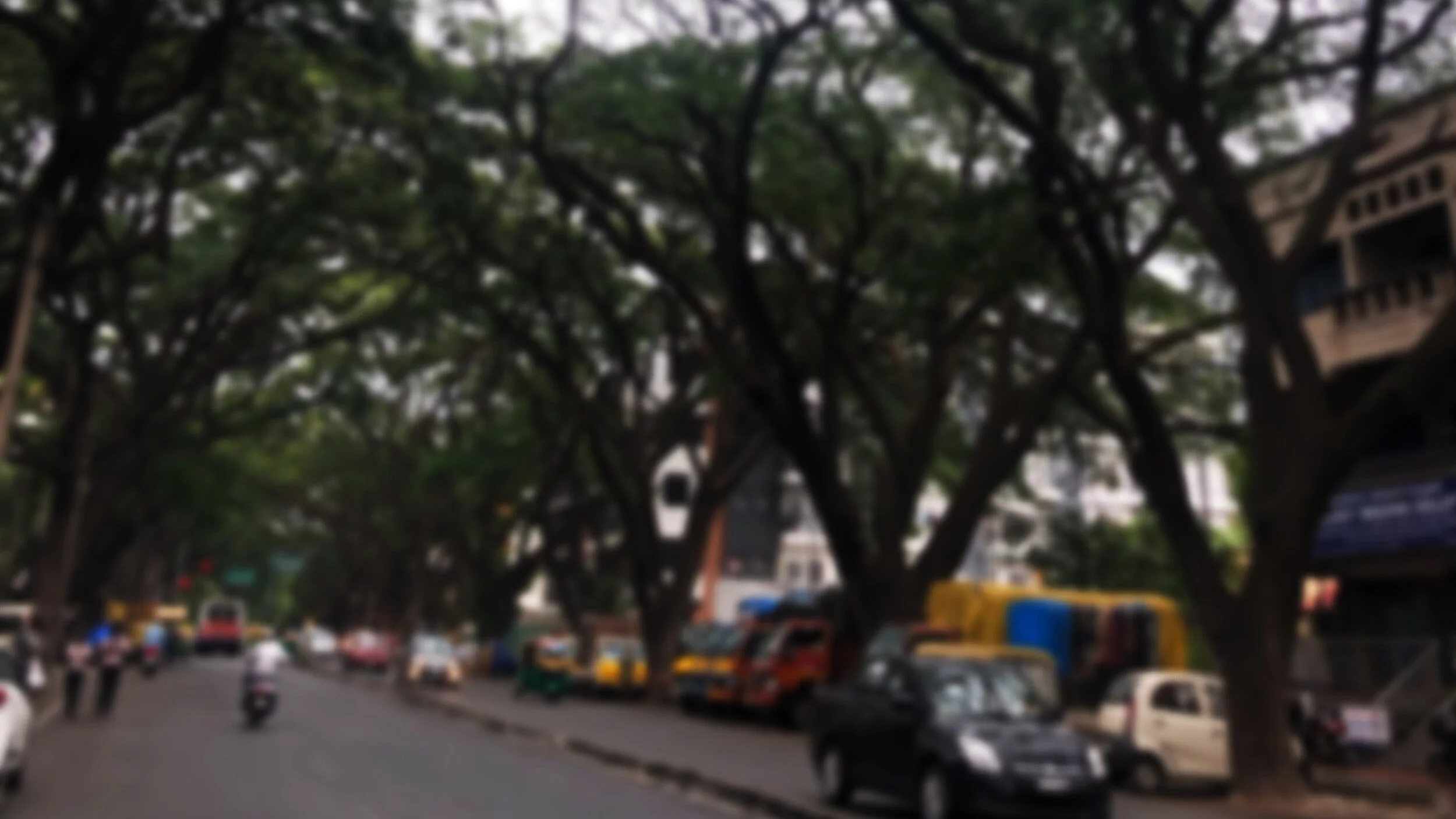 Parjanya Creative Solutions