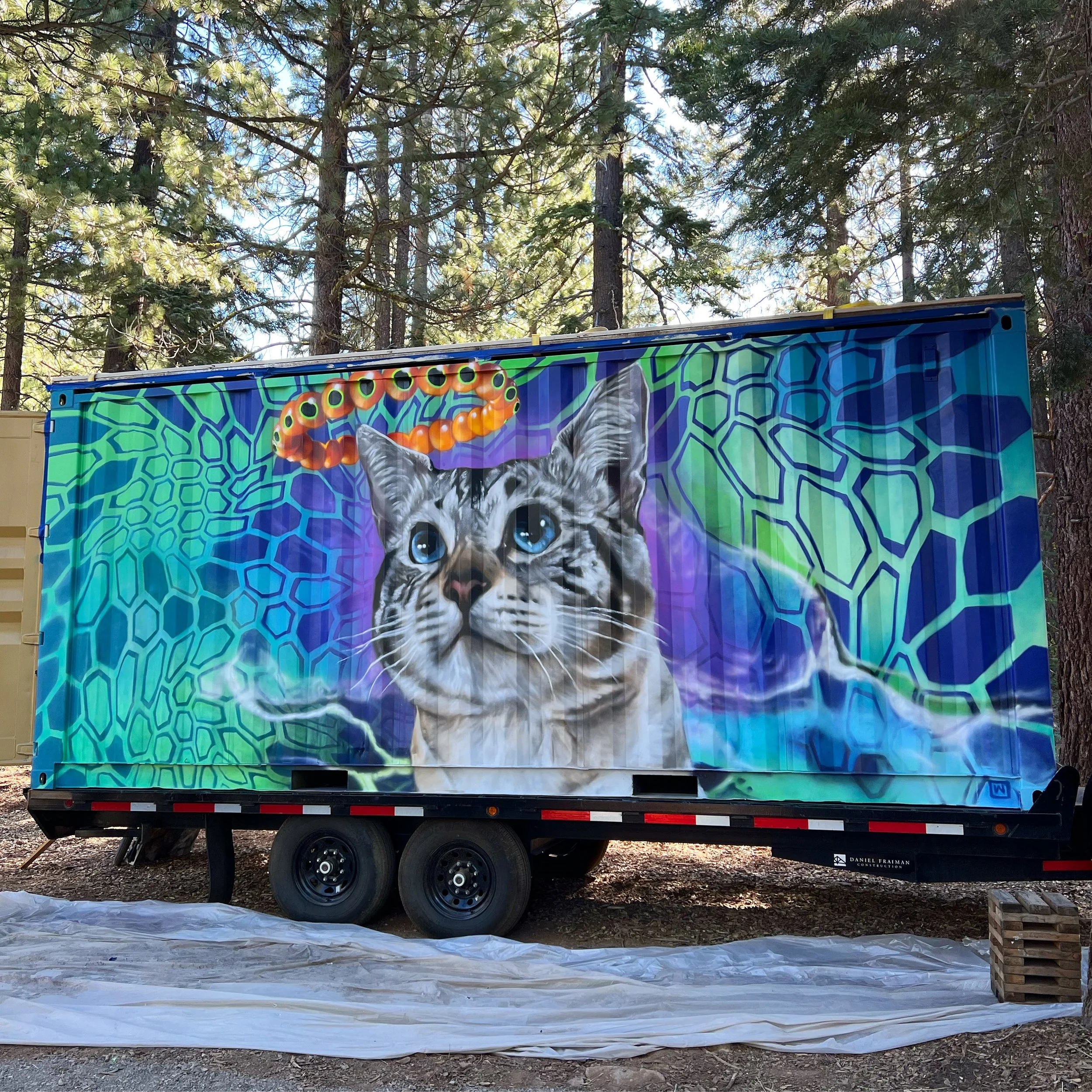 Murals — WEIRDOCULT