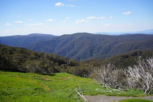 Is Visiting Mt Buller in the Summer Worth it? — Beyond The Bay