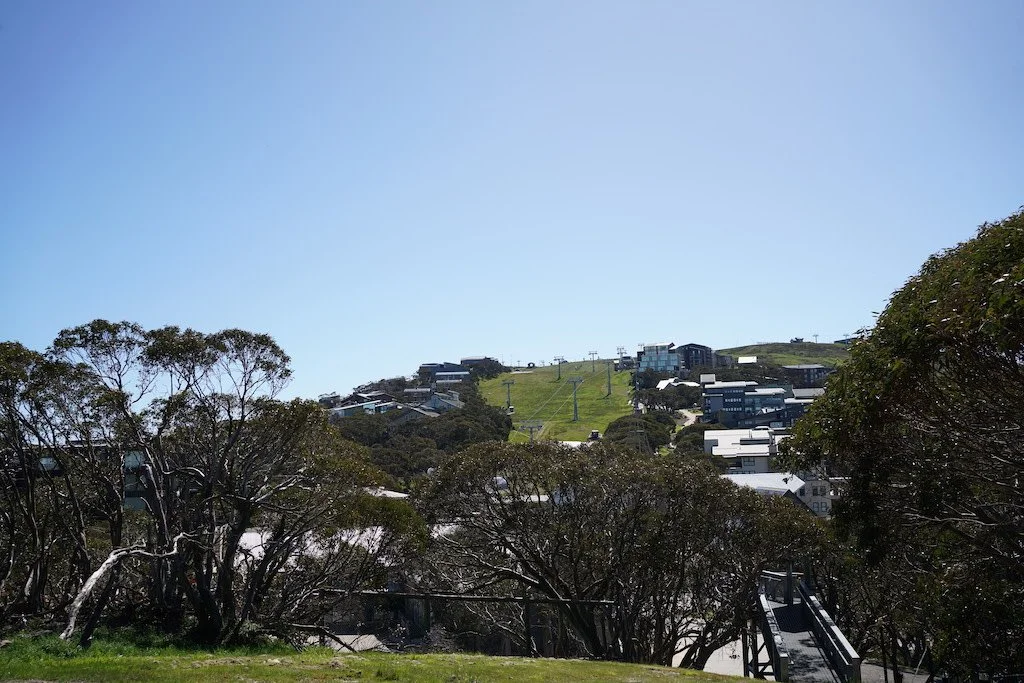 Is Visiting Mt Buller in the Summer Worth it? — Beyond The Bay