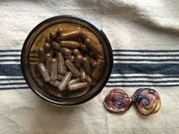 EAT your placenta? 8 Options For Your Placenta Post Birth — For Modern ...