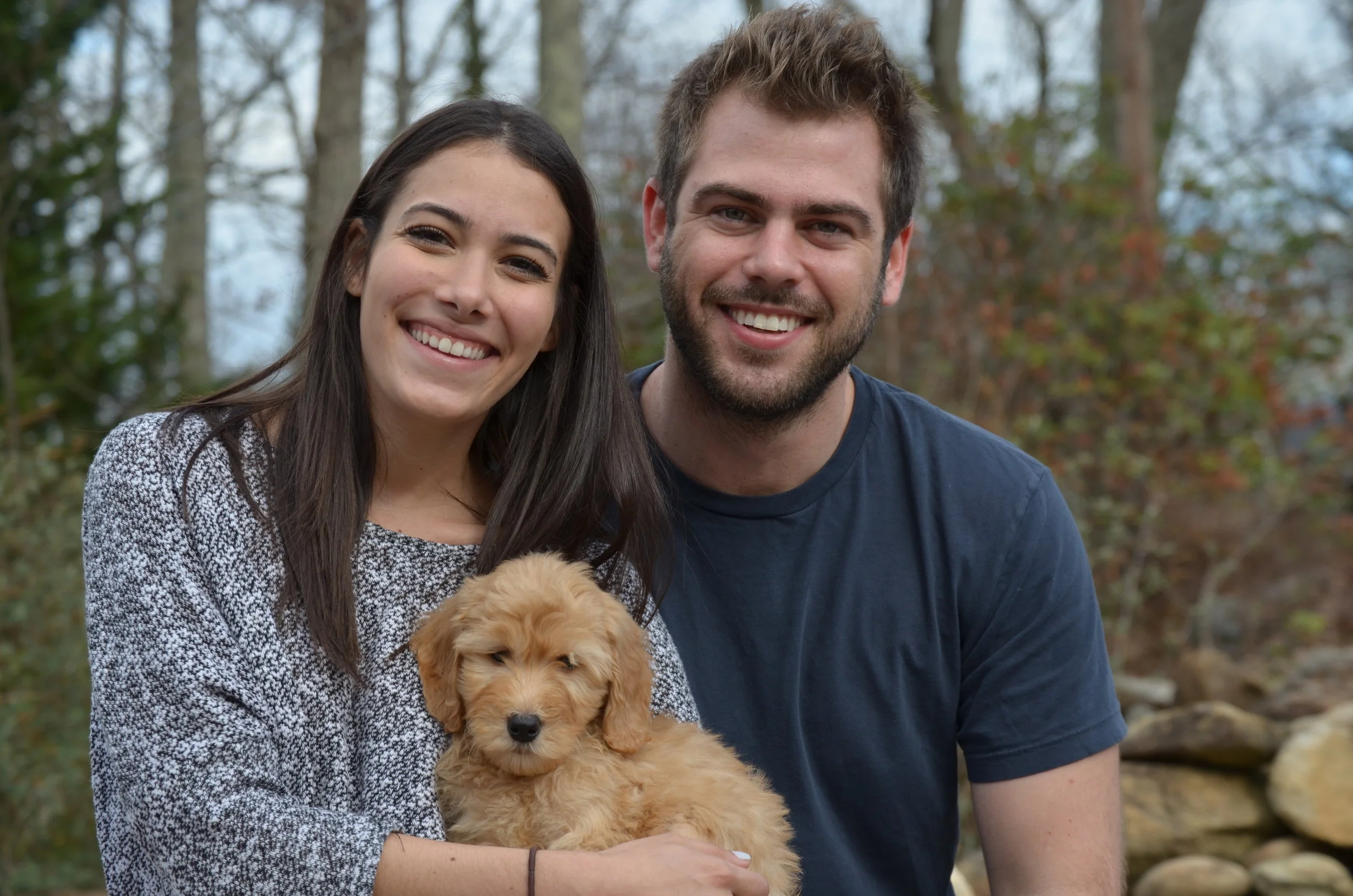 Best Labradoodle Breeders