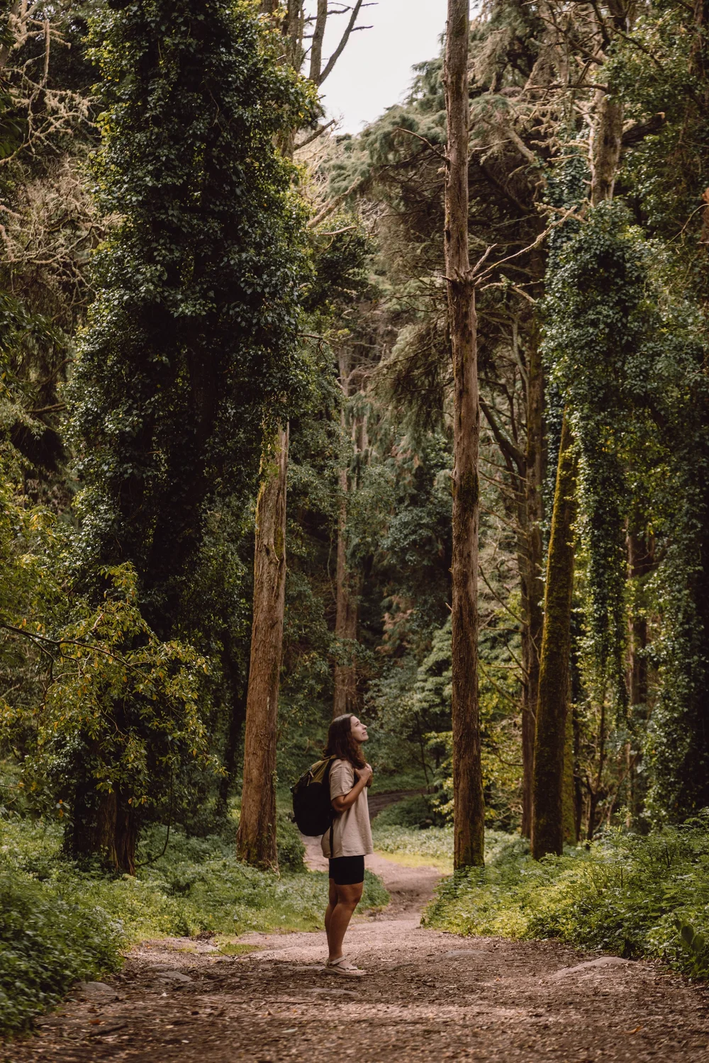 13 Best Things to Do in Enchanting Sintra Guide — Finding Our Adventure