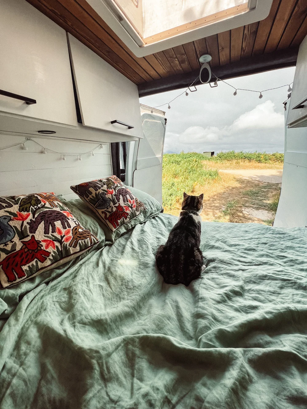 How to Travel with your Cat in a Campervan | Vanlife with a Cat ...