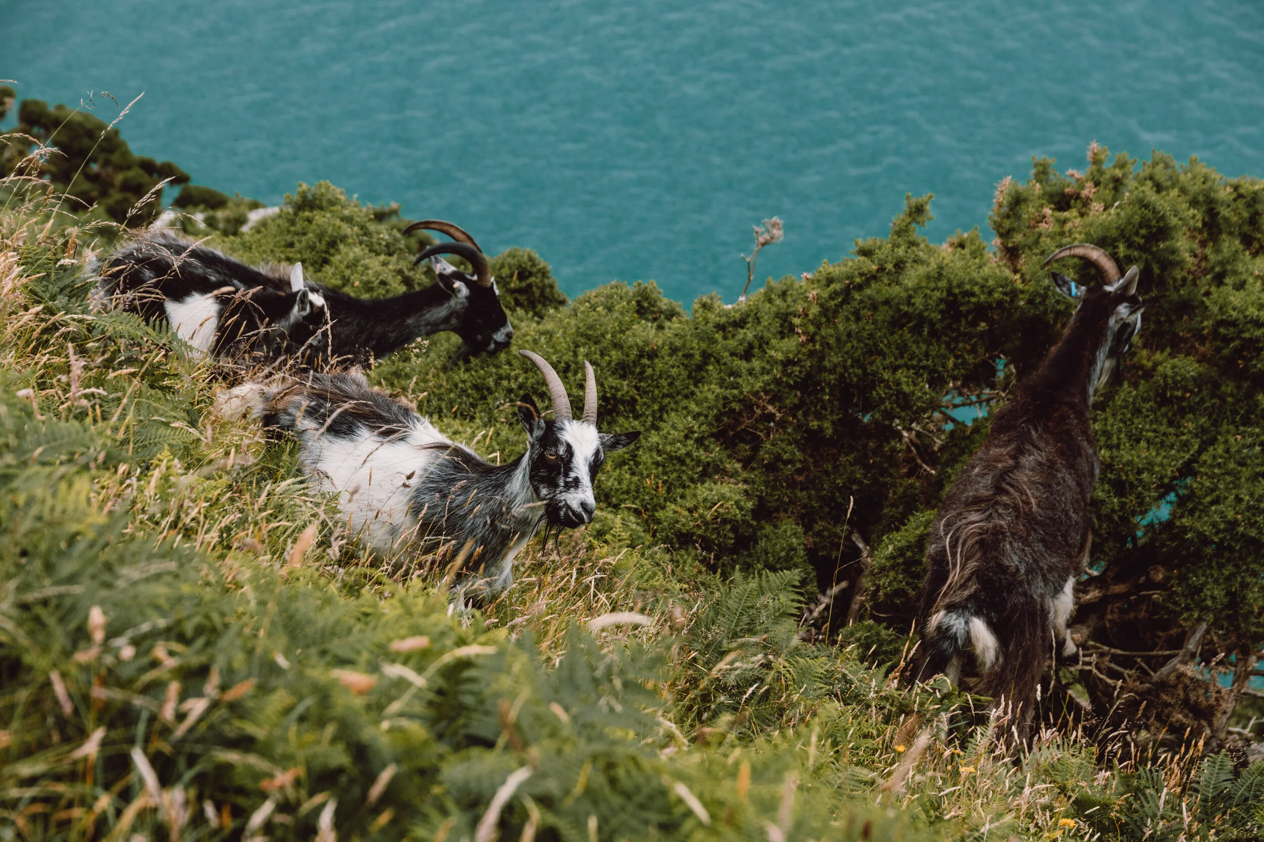 Explore Exmoor National Park: Top things to see and do — Finding Our ...