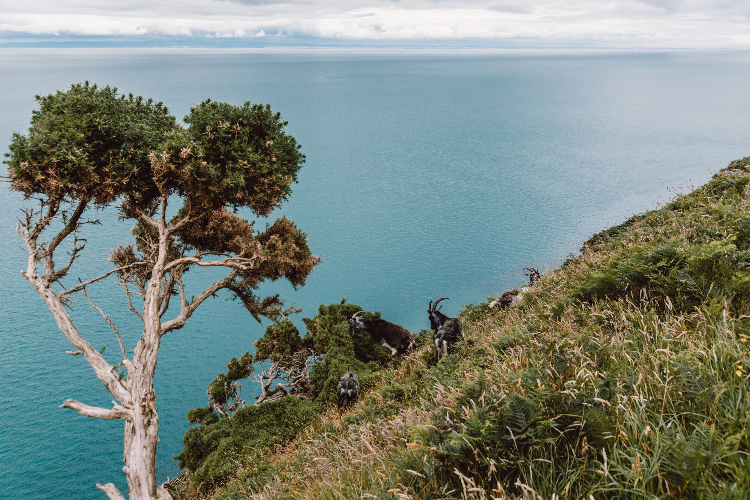 Explore Exmoor National Park: Top things to see and do — Finding Our ...