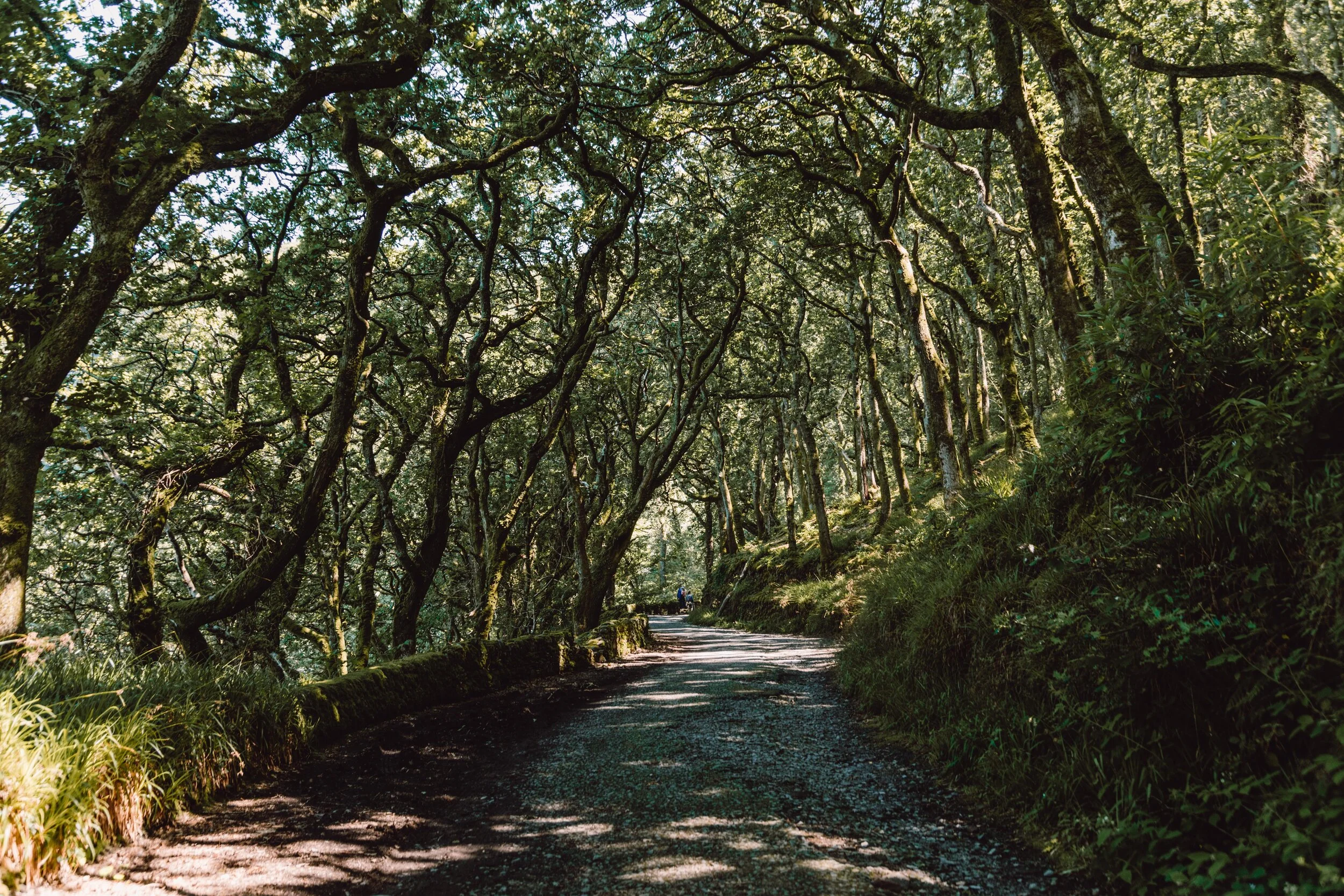 Explore Exmoor National Park: Top things to see and do — Finding Our ...