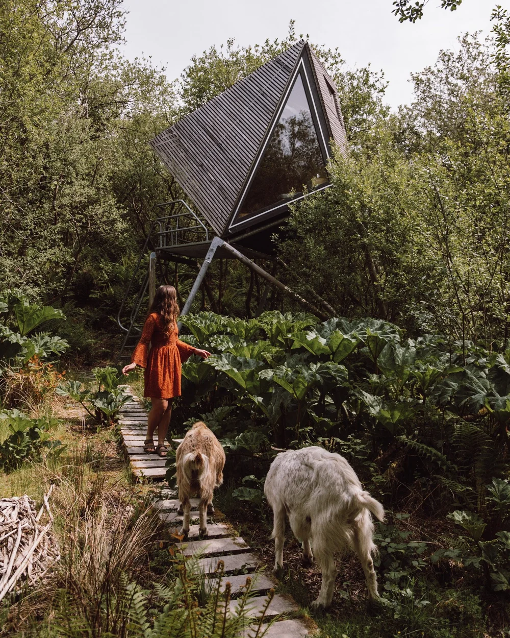 Escape to Kudhva | A Wild Off-grid Campsite in Cornwall Connected to ...