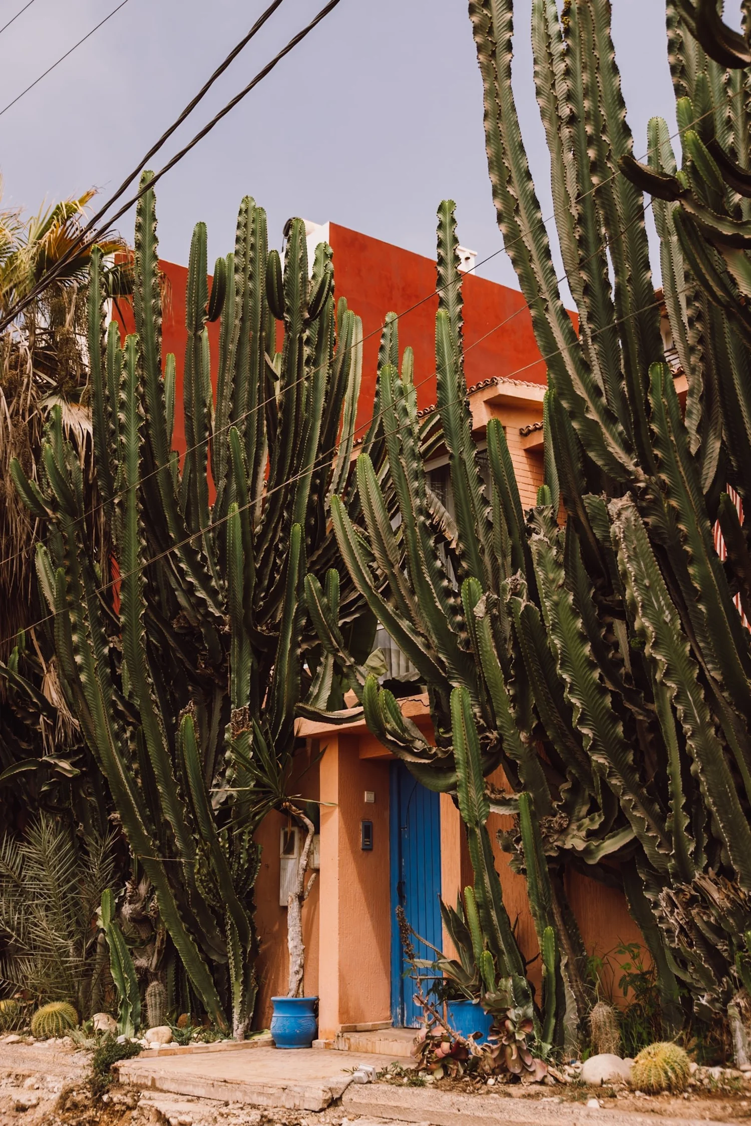 Best Things to Do in Tamraght, Morocco | Surf, Beaches, Cafés & Day ...