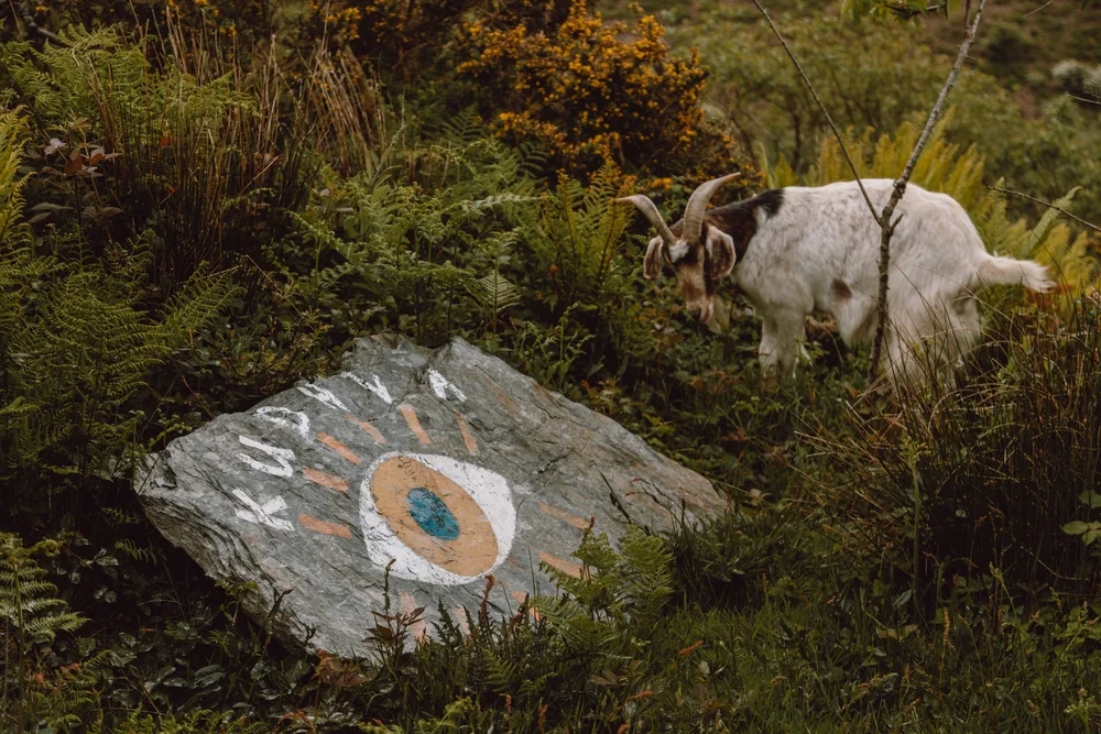 Escape to Kudhva | A Wild Off-grid Campsite in Cornwall Connected to ...