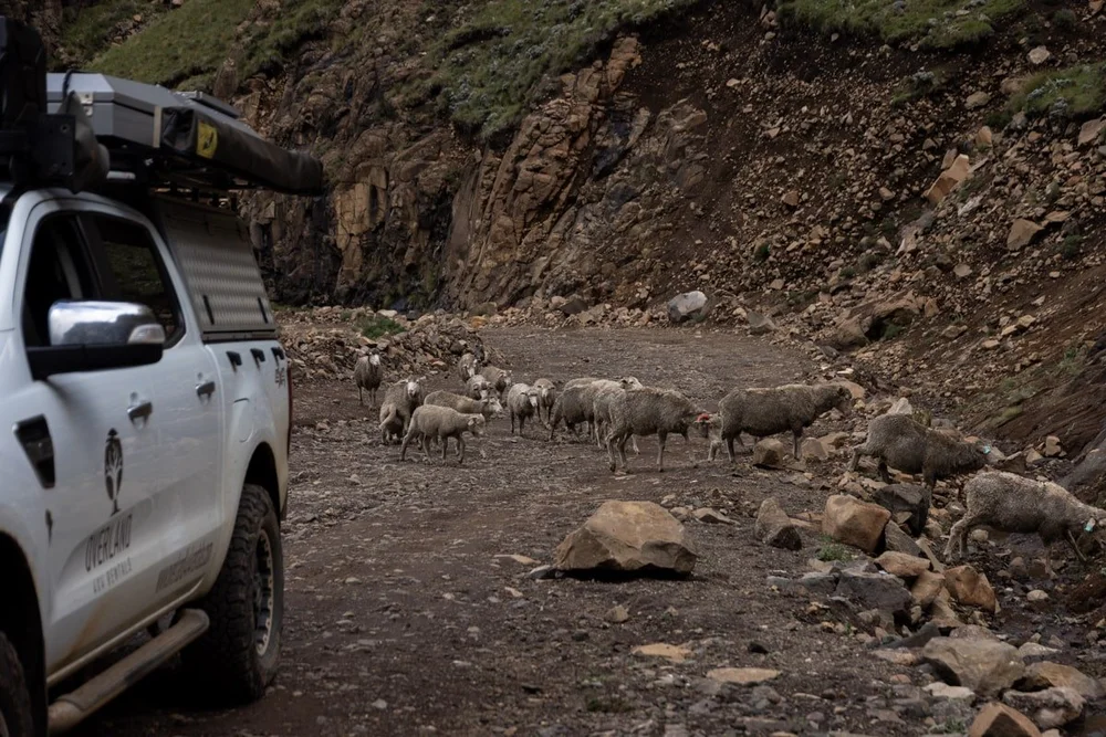 Sani Pass Survival Guide | Driving South Africa’s toughest 4x4 Road ...