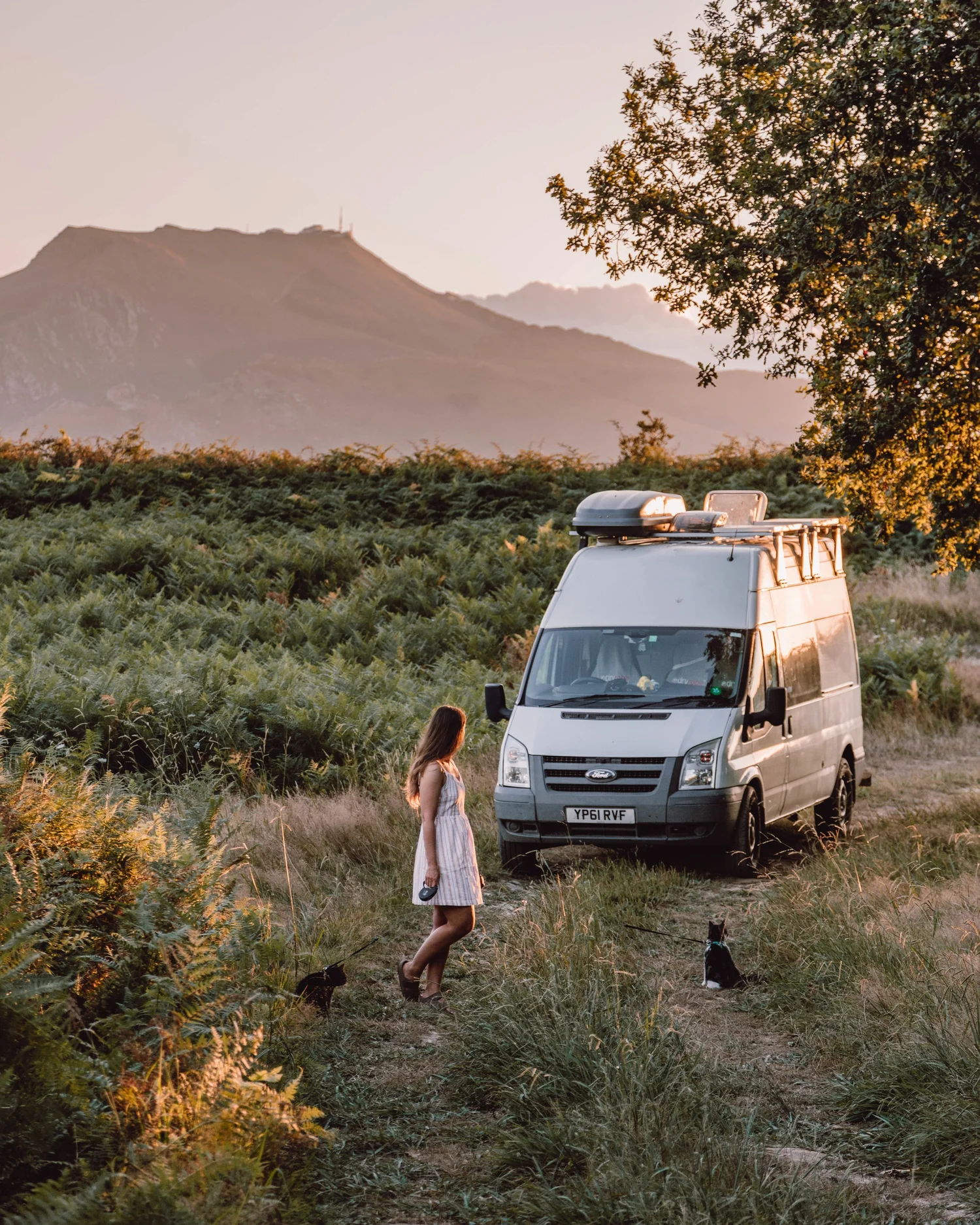 How to Travel with your Cat in a Campervan | Vanlife with a Cat ...