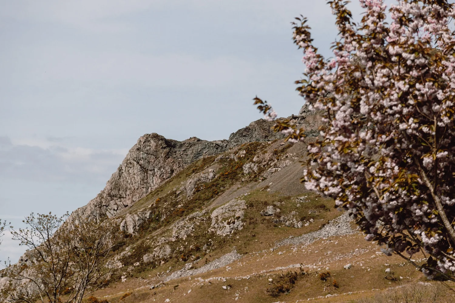 Experience the Best of North Wales | The Perfect Snowdonia 360 Road ...
