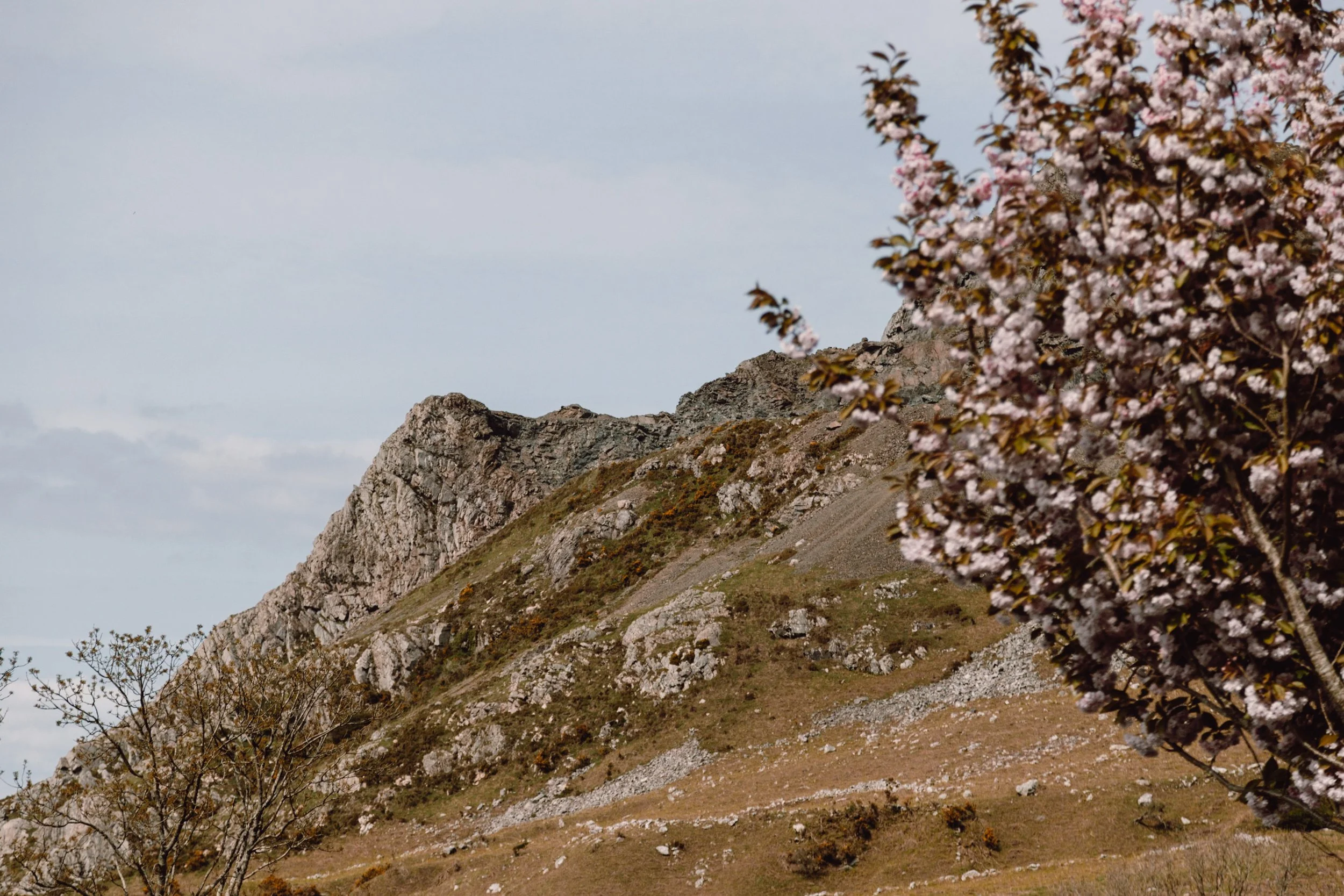 Experience the Best of North Wales | The Perfect Snowdonia 360 Road ...