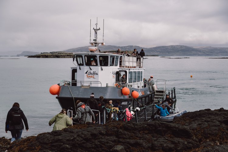 Best Place to see puffins in Scotland | Lunga Island — Finding Our ...