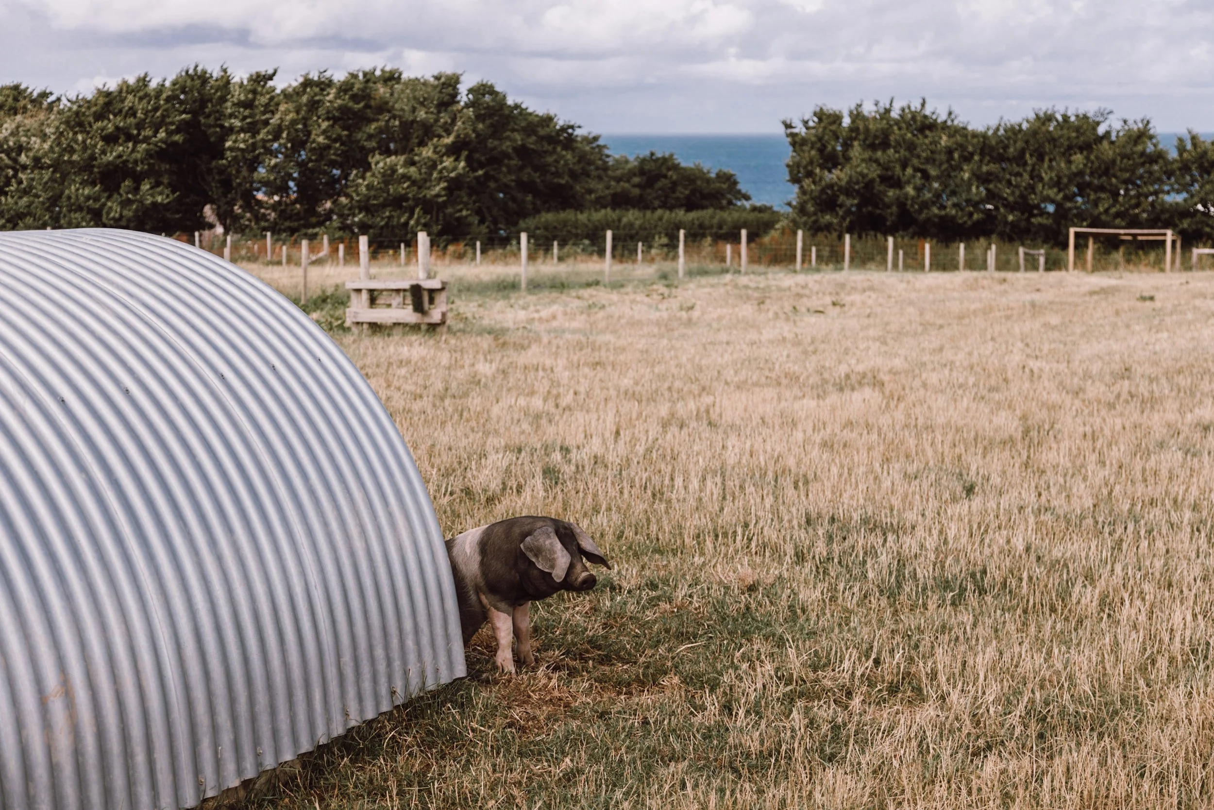 Staying in a Garden Wagon at The Pig at Harlyn Bay Hotel in Cornwall ...