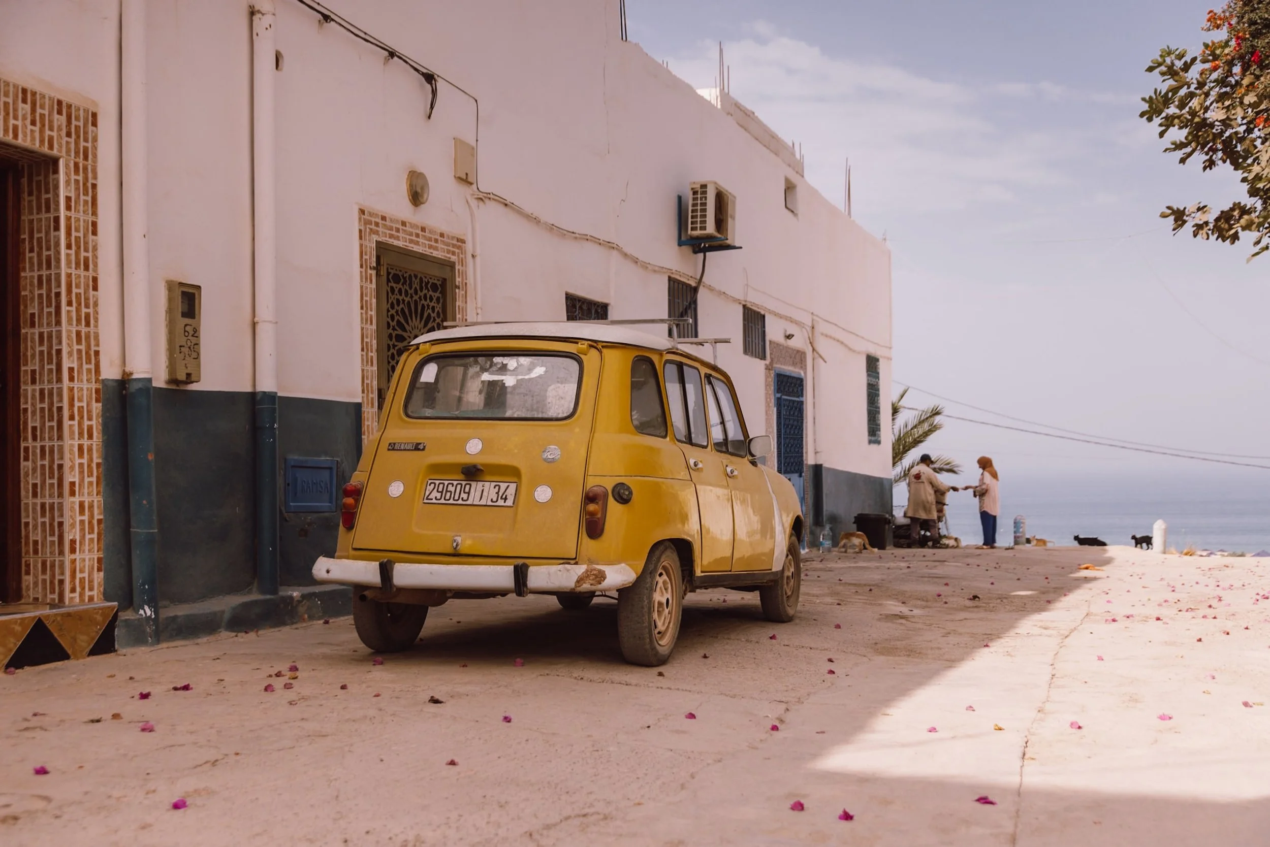 Best Things to Do in Tamraght, Morocco | Surf, Beaches, Cafés & Day ...
