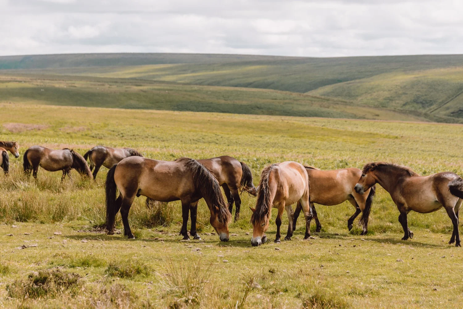 Exmoor National Park 3 Day Road Trip Itinerary and Map — Finding Our ...