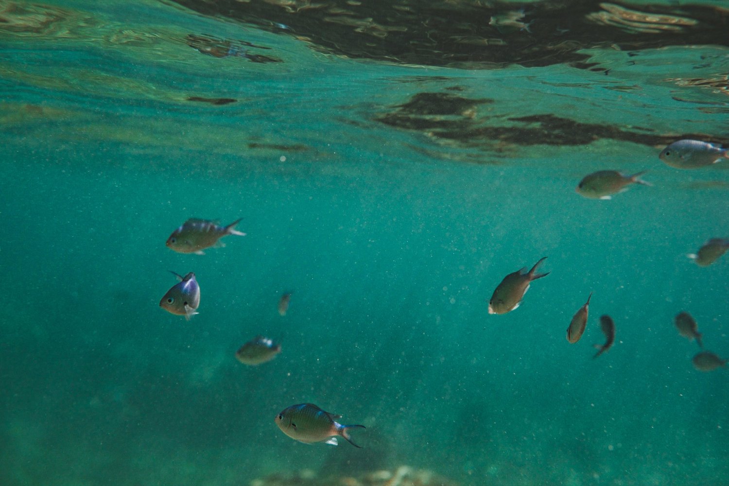 A Travel Guide on How To Explore The Philippines — Finding Our Adventure