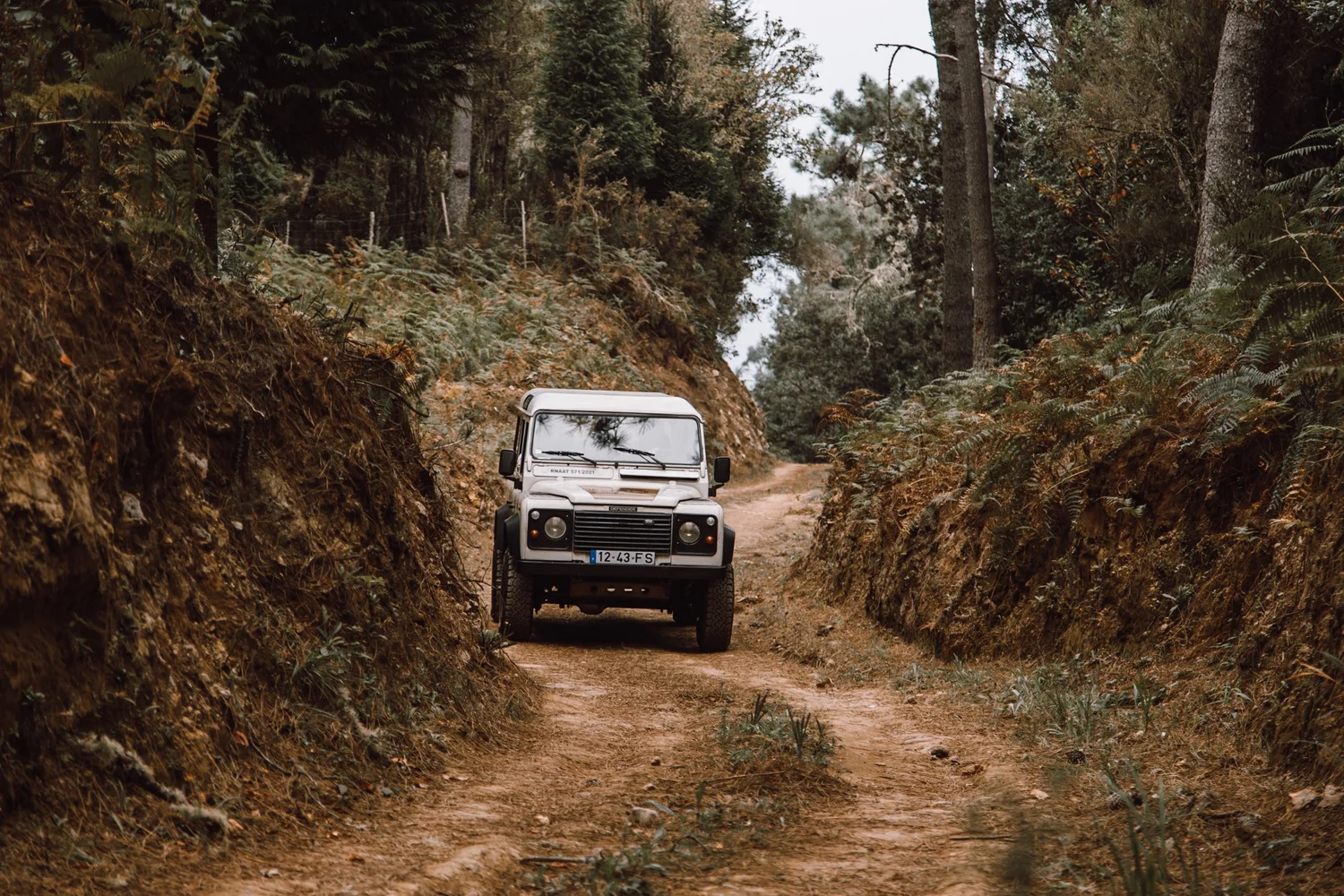 Madeira in October | What You Need to Know Before You Go — Finding Our ...