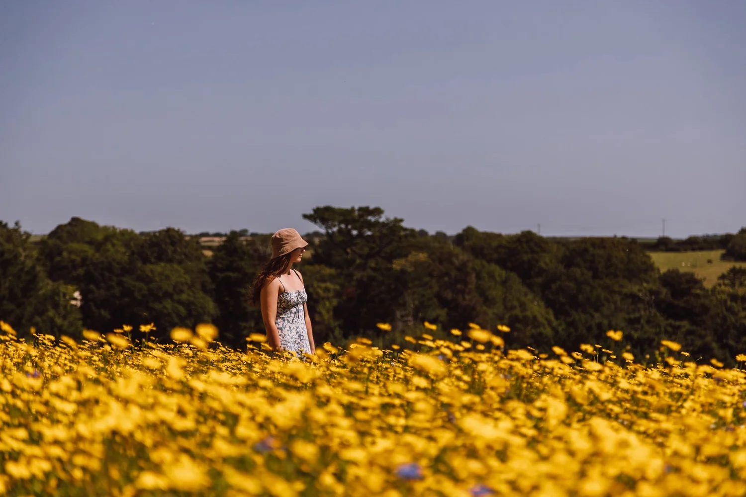 What You Need to Know Before Visiting Cornwall in May — Finding Our ...
