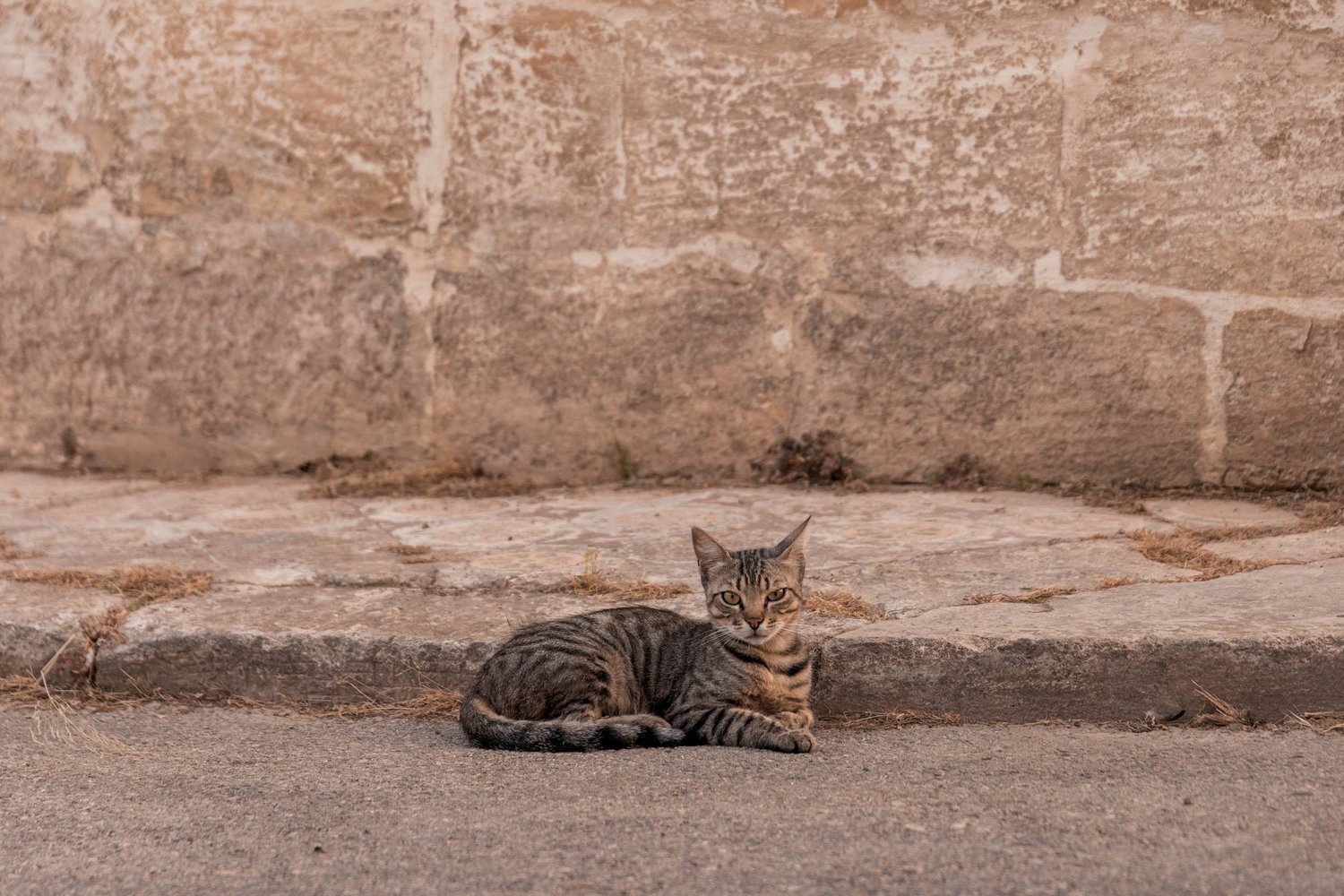 Complete 7-Day Gozo Itinerary | Malta’s Laid-Back Island Beyond a Day ...