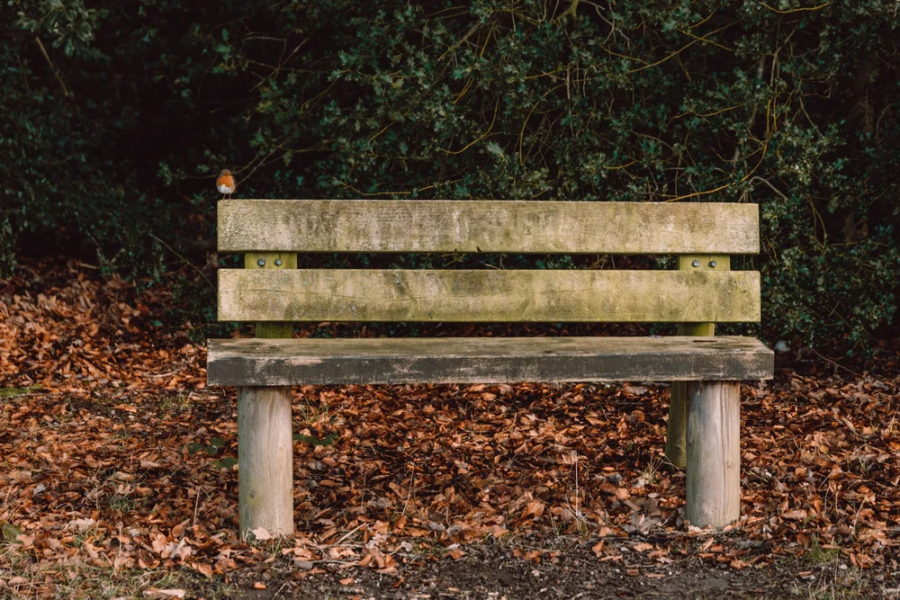 A winter stay at Hoar Cross Hall Spa Hotel — Finding Our Adventure