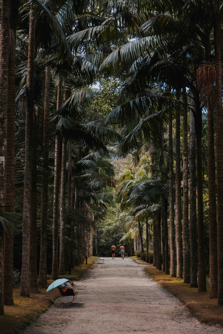 What You Need to Know Before Visiting the Azores in September — Finding ...
