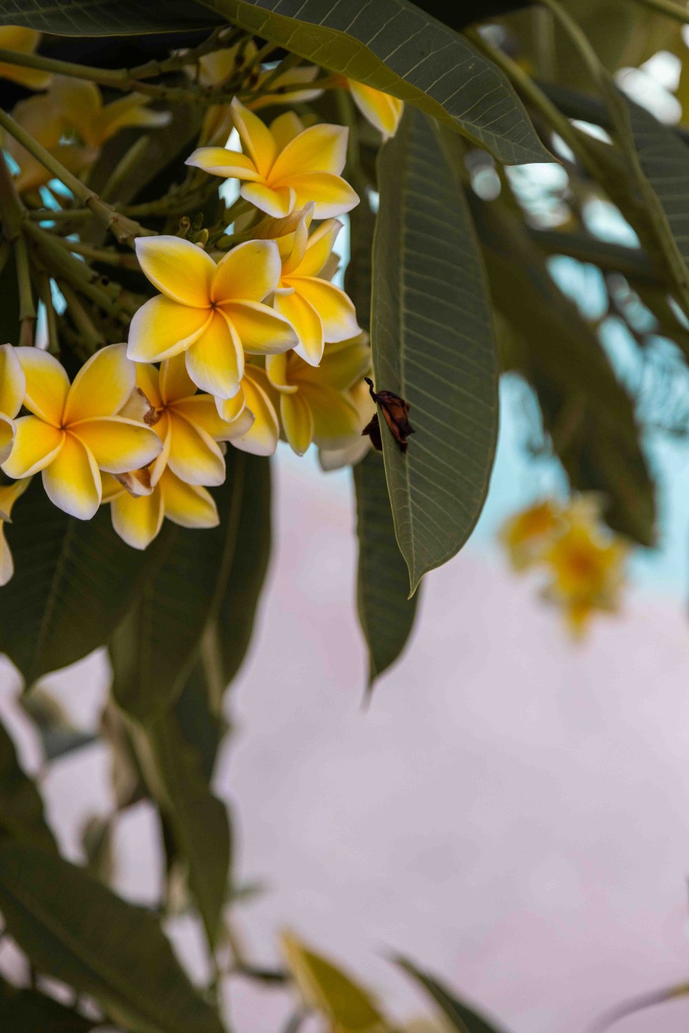 Surf and Stay at Boni Beach Hotel Lombok — Finding Our Adventure