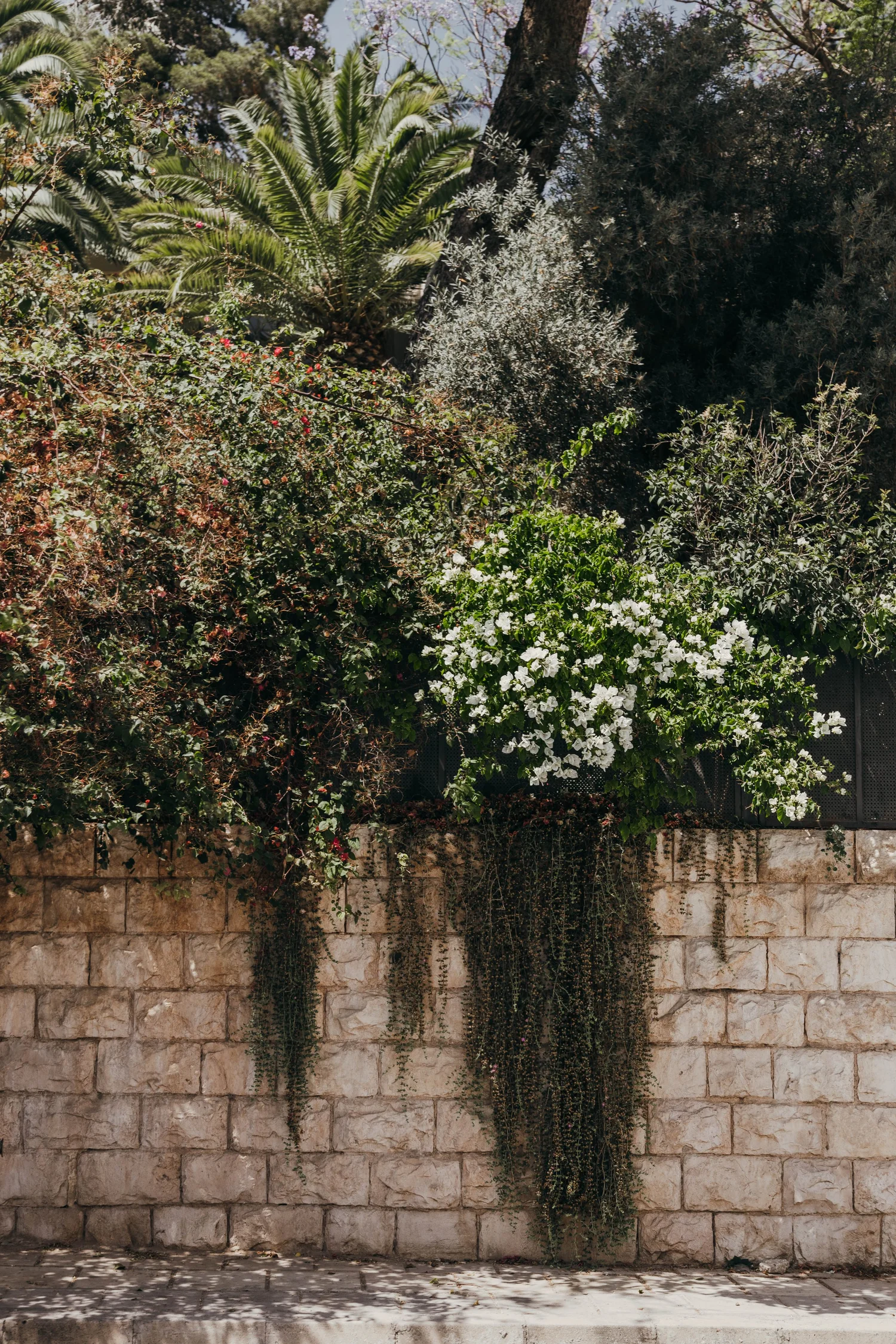 13 Best Things to do in Amman | A City Guide — Finding Our Adventure