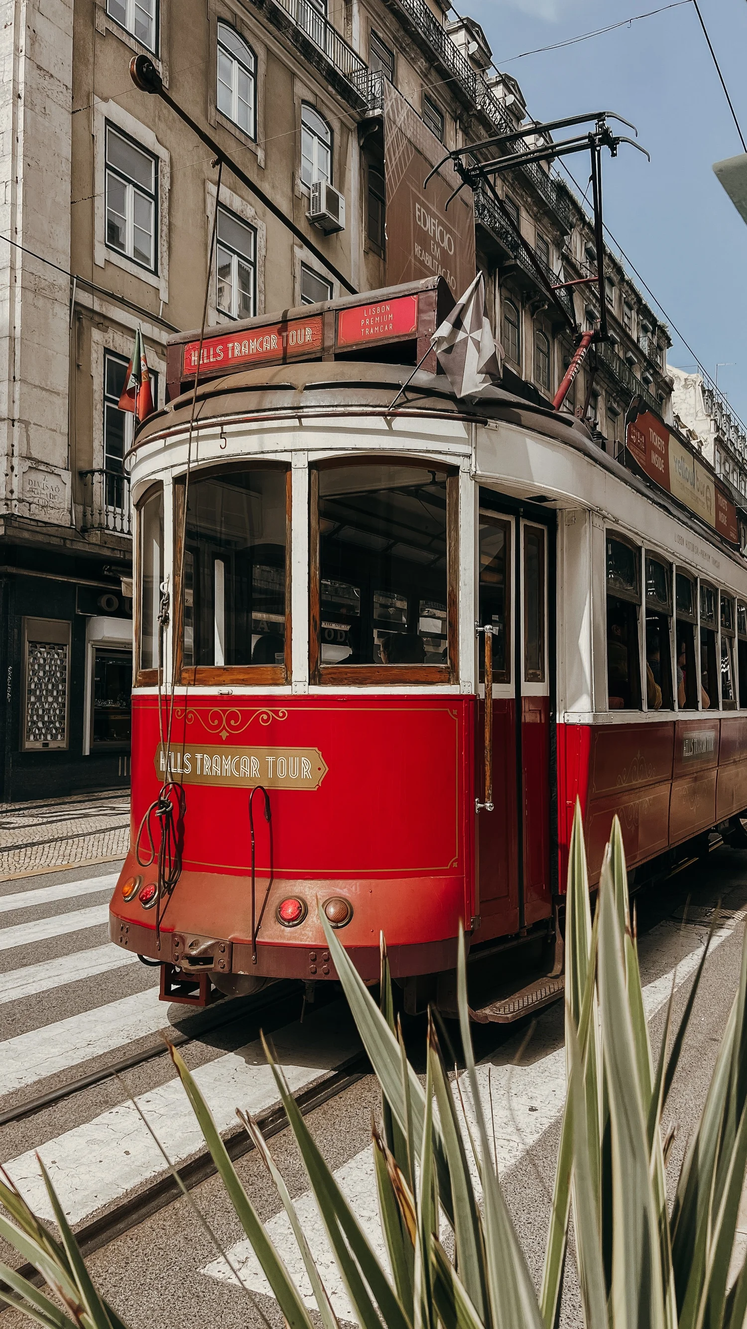 One Day in Lisbon | A pocket size Guide to Portugal’s Capital city ...