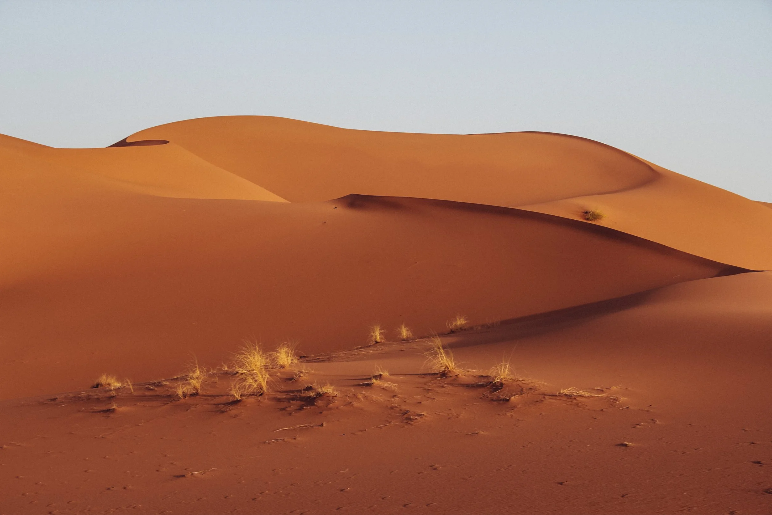 The Ultimate Guide to the Best Things to Do in Agadir, Morocco ...