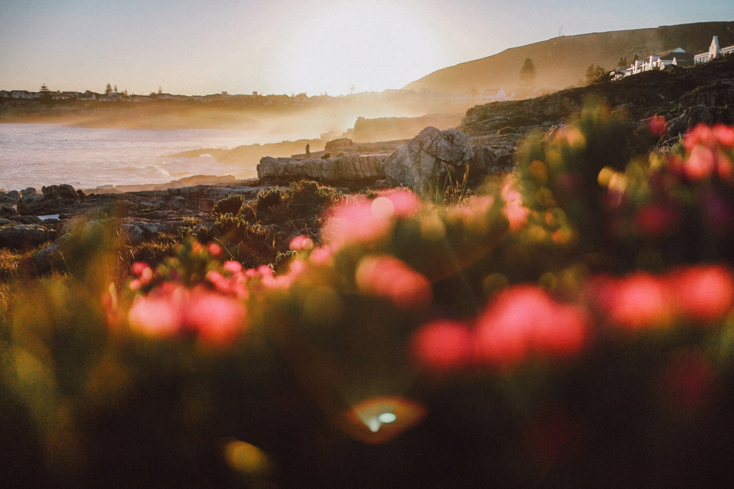 Ultimate Garden Route South Africa Guide | Map, Itinerary ideas and ...