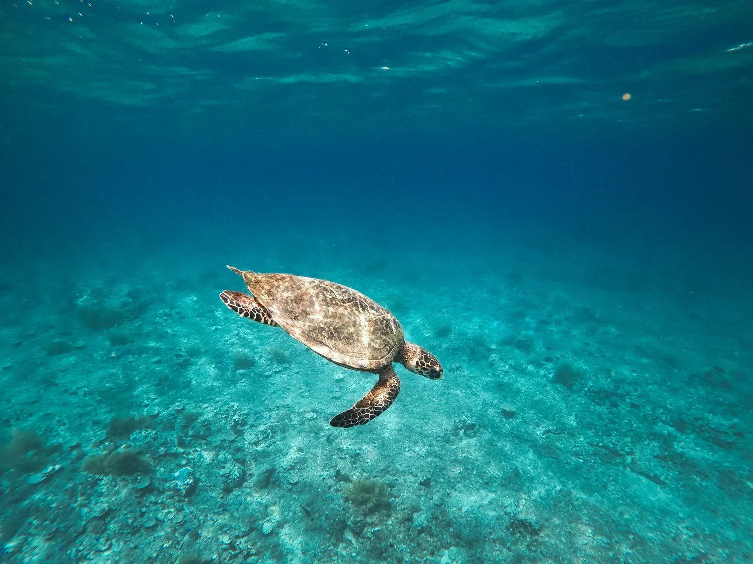 Best Time to Visit Bali | Weather & Seasons Month by Month — Finding ...