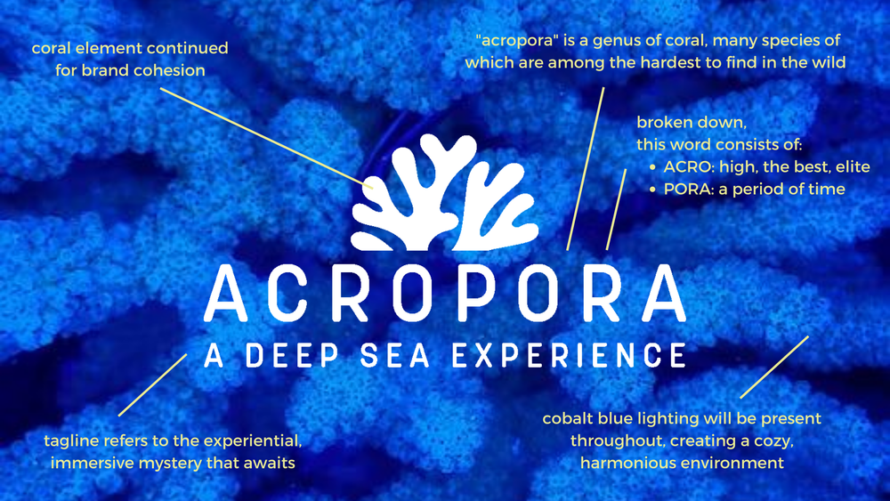 BUILDING A BRAND: Tanked Coral Cafe + Lounge — Sour Pea Design