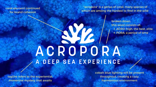 BUILDING A BRAND: Tanked Coral Cafe + Lounge — Sour Pea Design